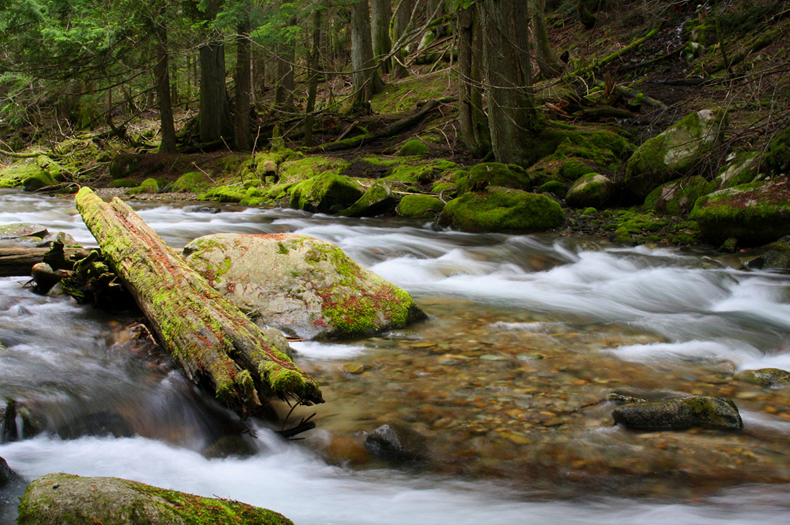 RV Travel Guide — Camping in Idaho Panhandle National Forest - THOR ...
